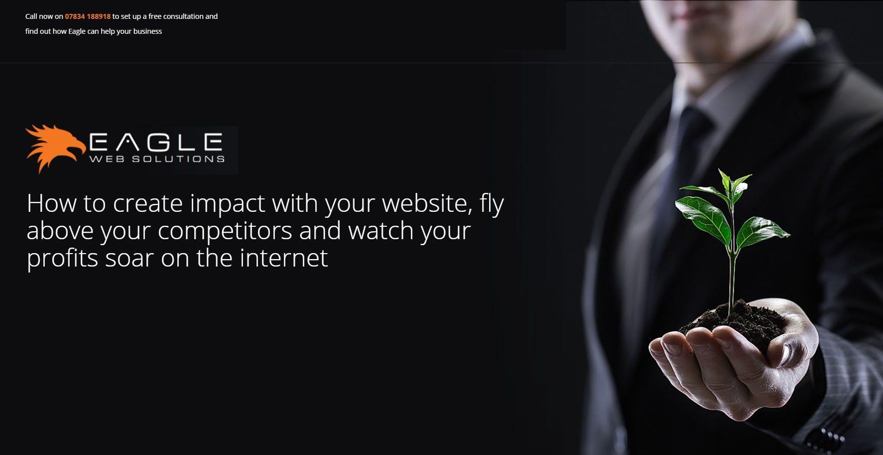 Business Process Improvement | Eagle Web Solutions | Eagle Web Solutions